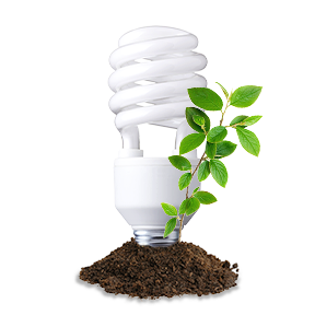 Gás Natural, Eletricidade e Serviços Energéticos | EDP